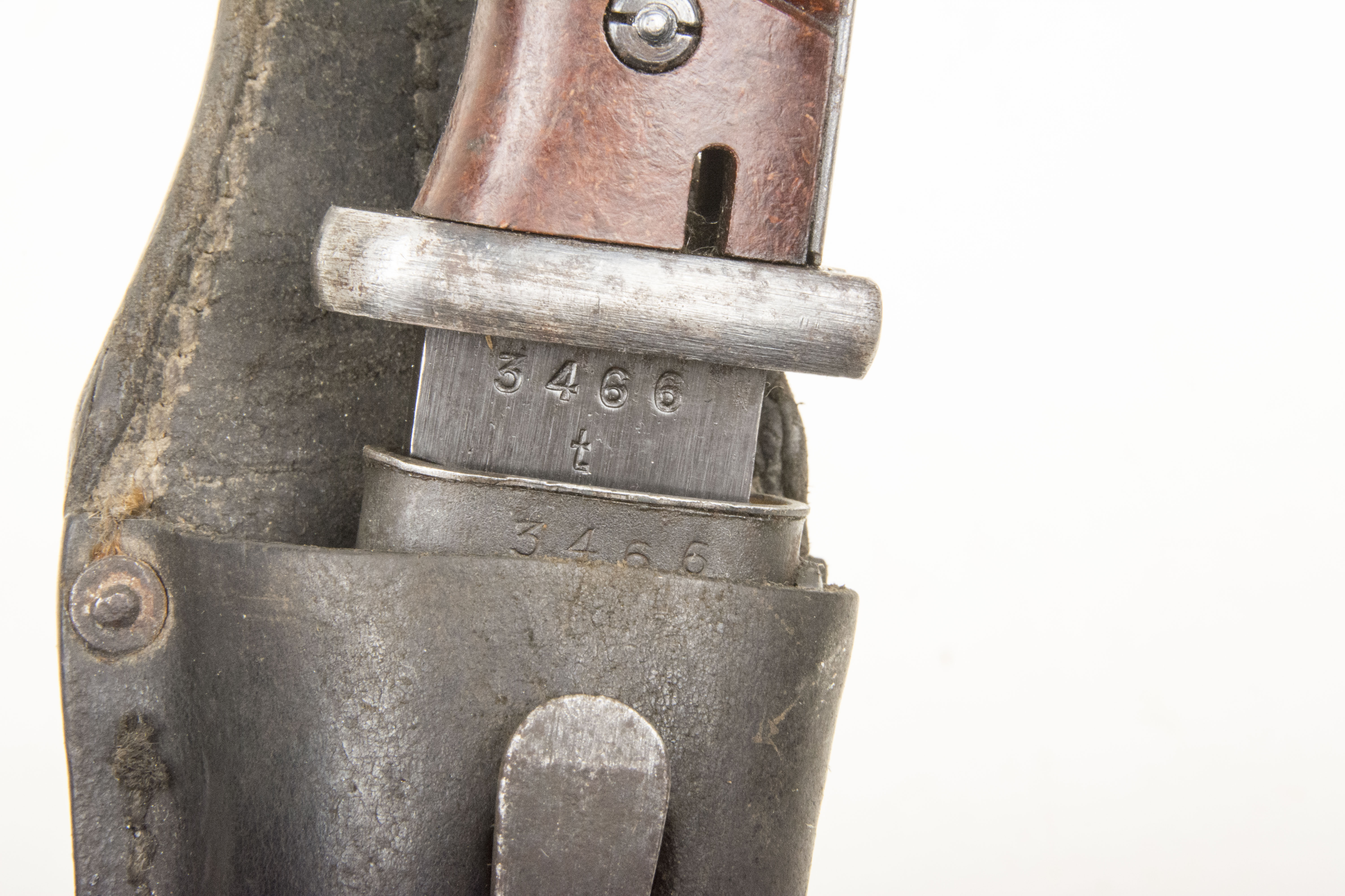 FJM_7678_1 – fjm44