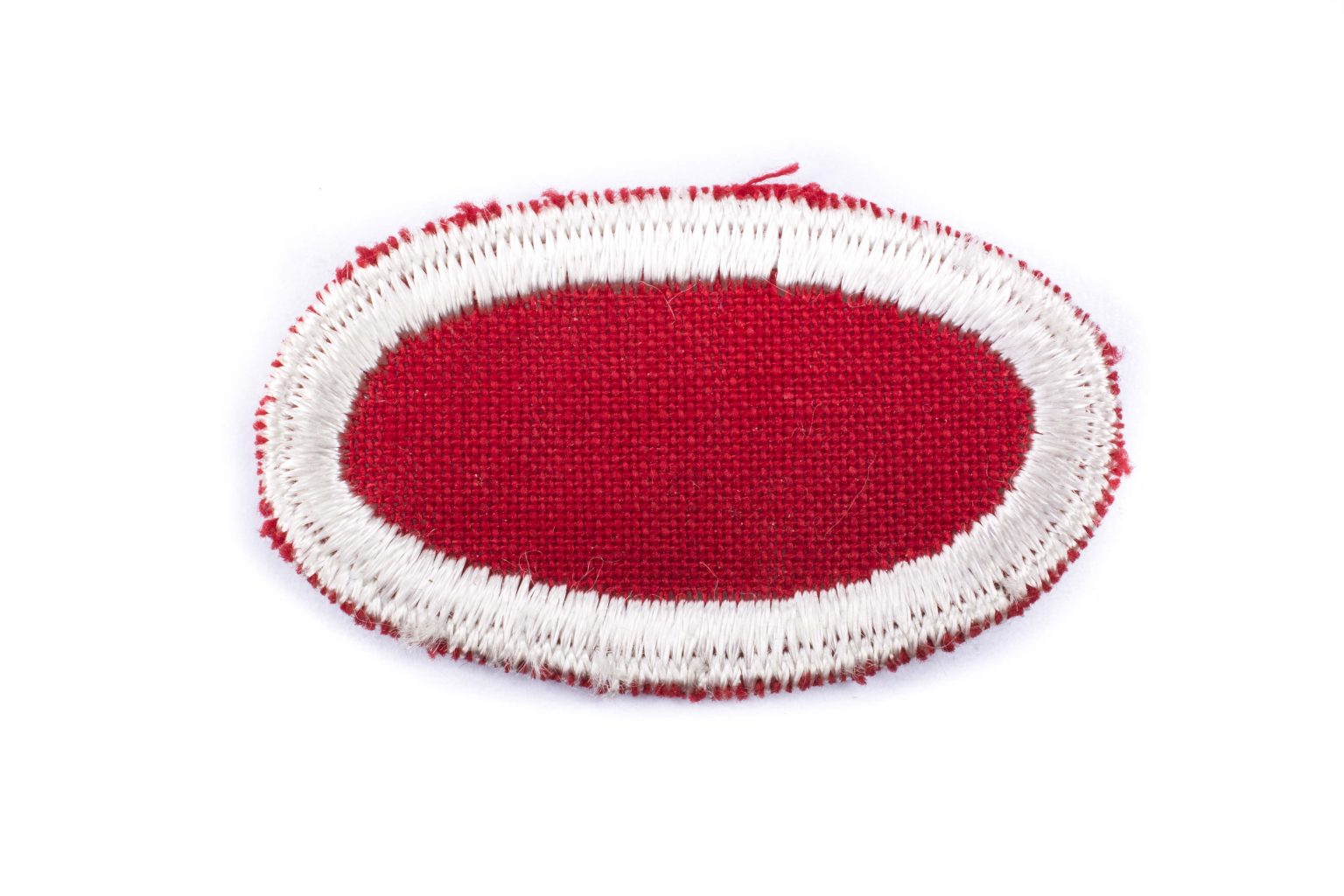 US jump wing oval 307th Airborne Engineer battalion – fjm44