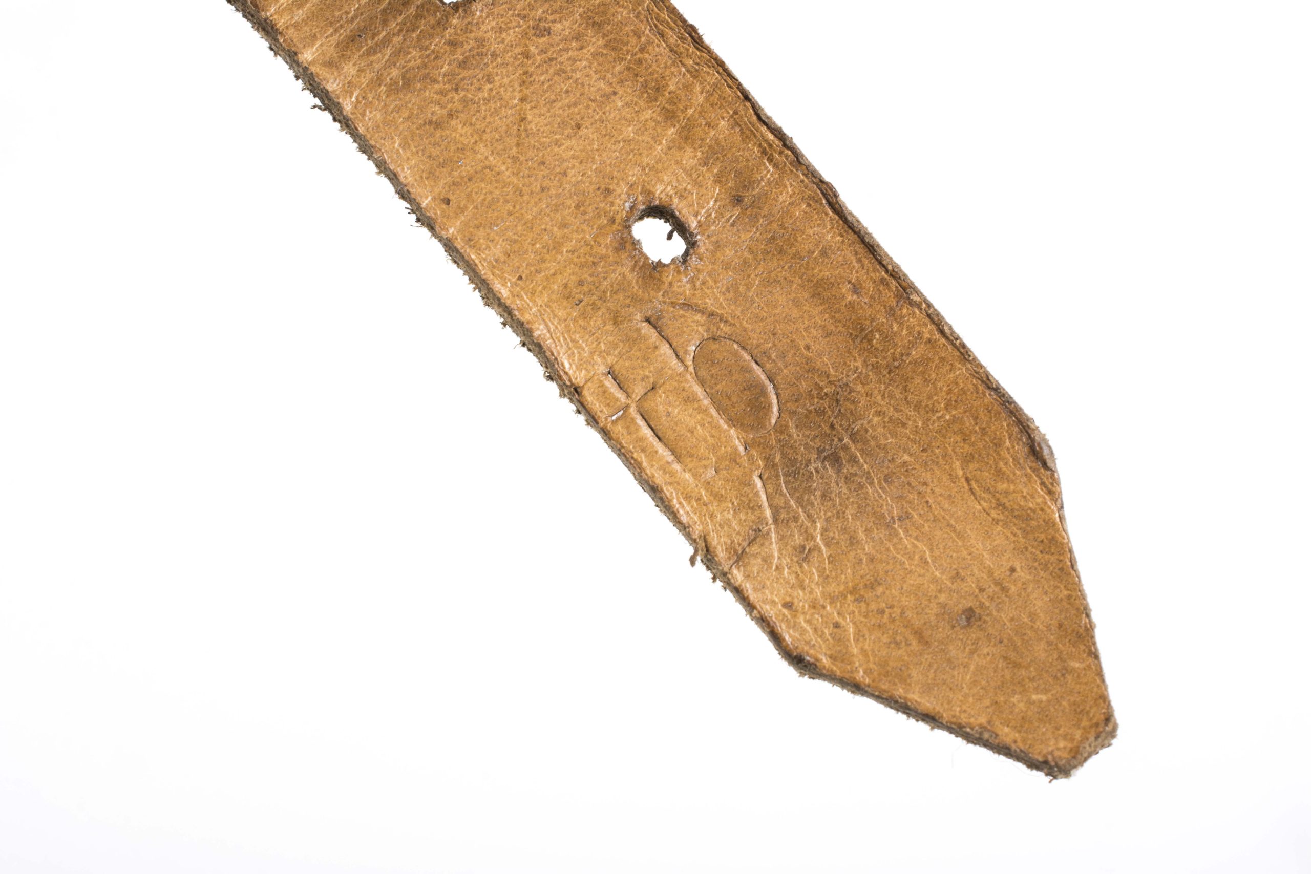 updateabc_11838 – fjm44