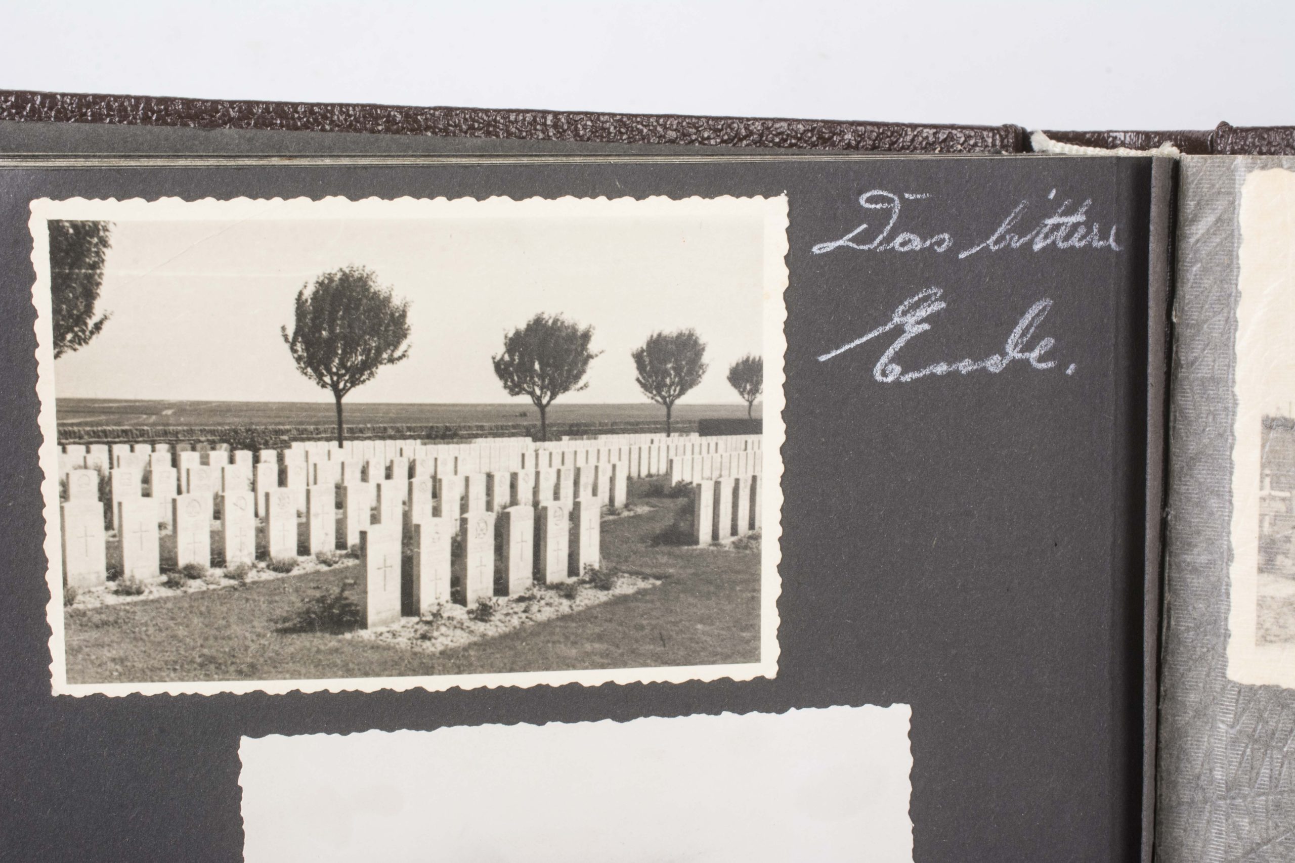 updateabc_44556 – fjm44