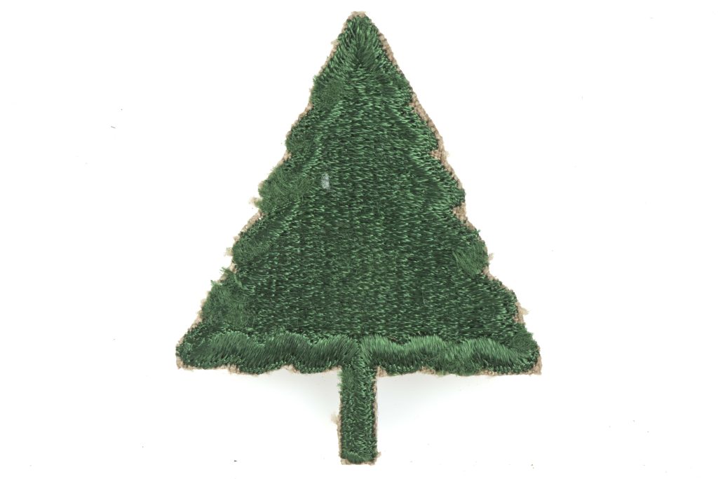 US 91st Infantry Division patch – fjm44